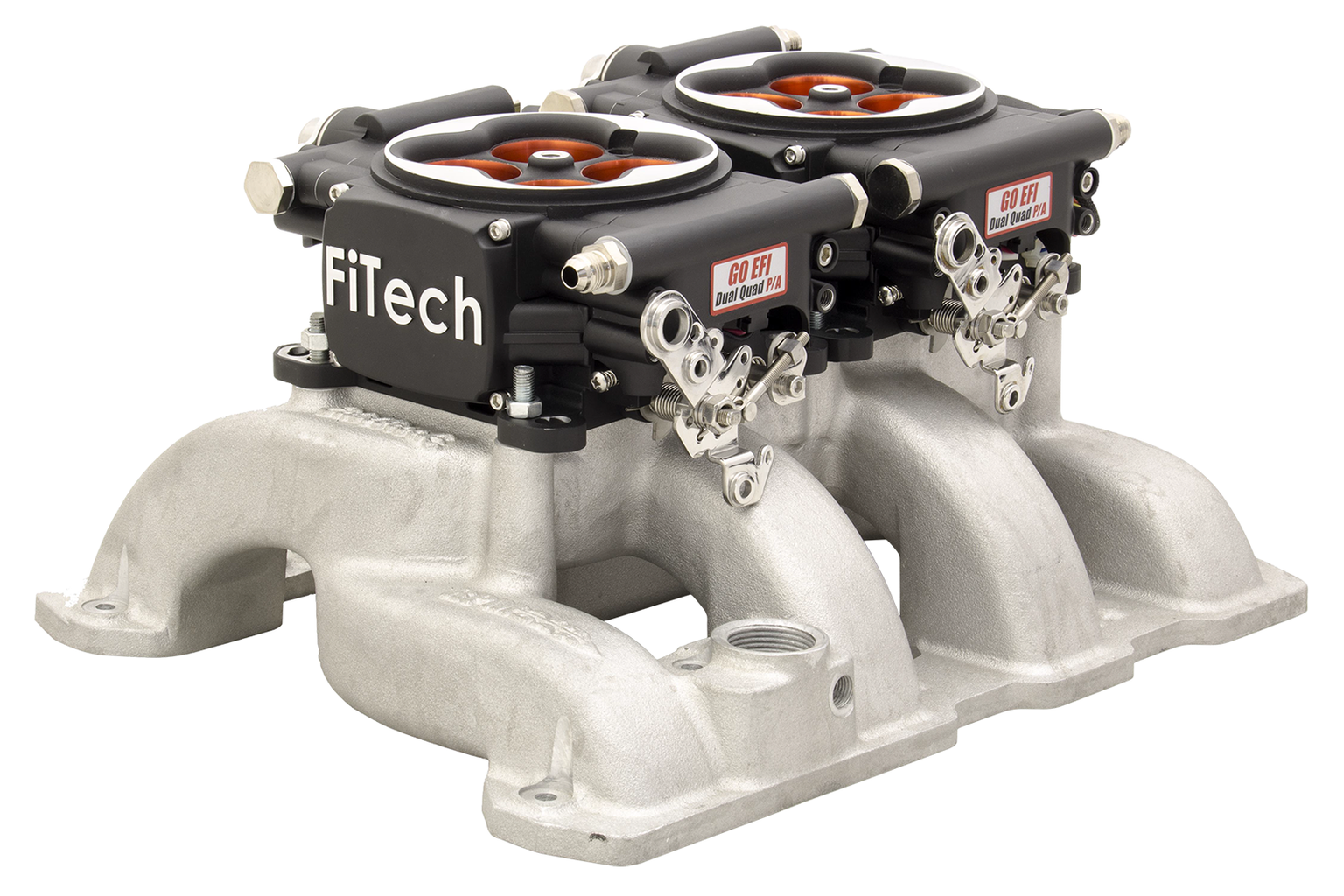 FiTech Go EFI System — Vitesse Global LTD